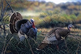 “Springtime Splendor” - Dan Moreton Art